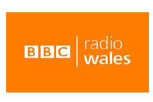 Afon Mel - Award Winning Mead